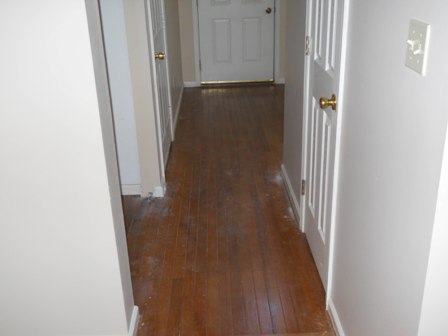 Photos